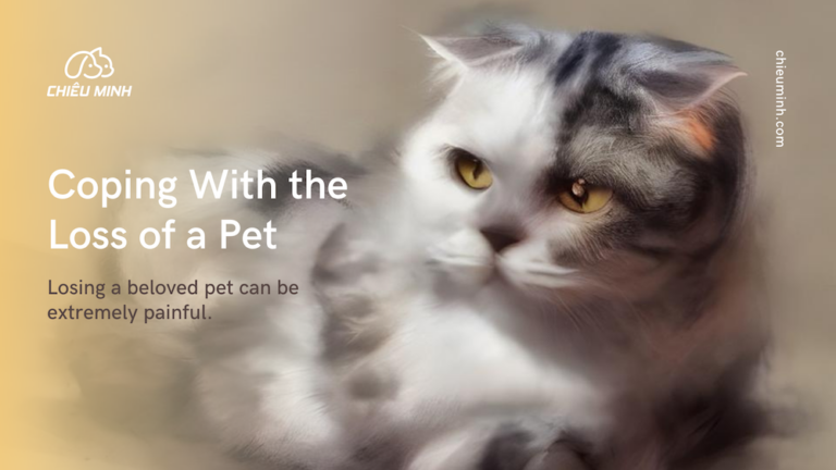 Coping With The Loss Of A Pet - Chieu Minh